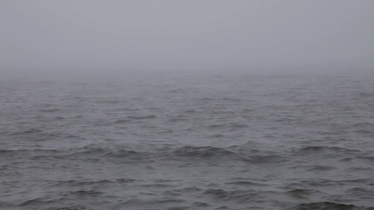 Finnish Coast Guard Detects A "Sea Monster", Or Through The Fog Is It ...