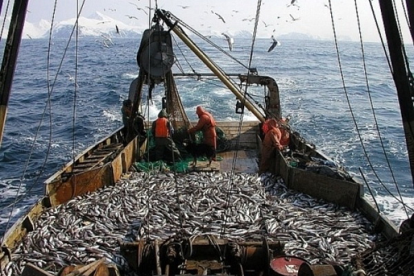 Russia Has Signed An Agreement To Combat Unregulated Fishing In The russia-has-signed-an-agreement-to-combat-unregulated-fishing-in-the