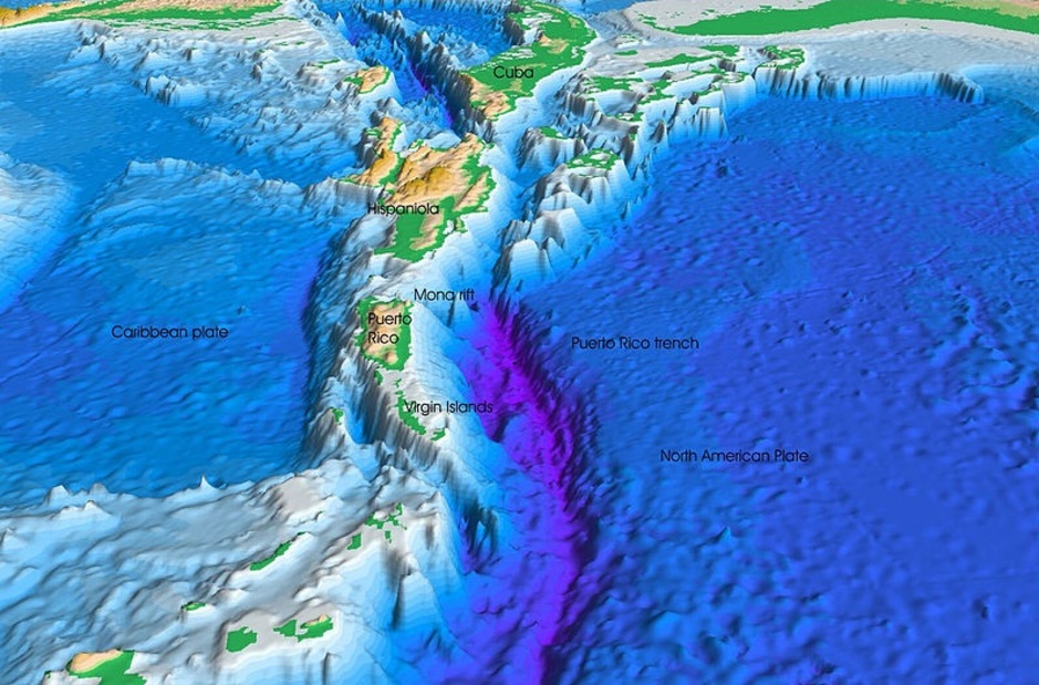 Secret Pictures of the Deep Sea Finally Revealed | Maritime Herald