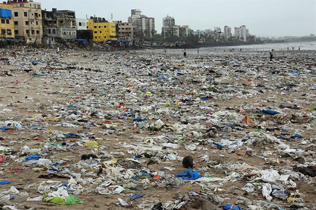 The Elimination of 5 Million Kilos of Garbage from a Beach in India and ...