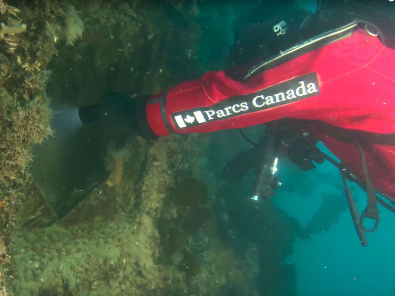 The First Images Of The Remains Of The 'Cannibal Wreck' Of HMS Terror ...